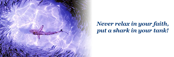 Sh-sh-shark! - Universal Church of the Kingdom of God