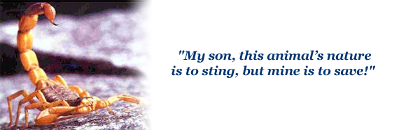 The wise man and the scorpion - Universal Church of the Kingdom of God