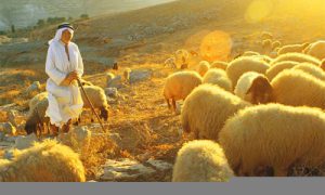 The shepherd and his flock - Universal Church of the Kingdom of God
