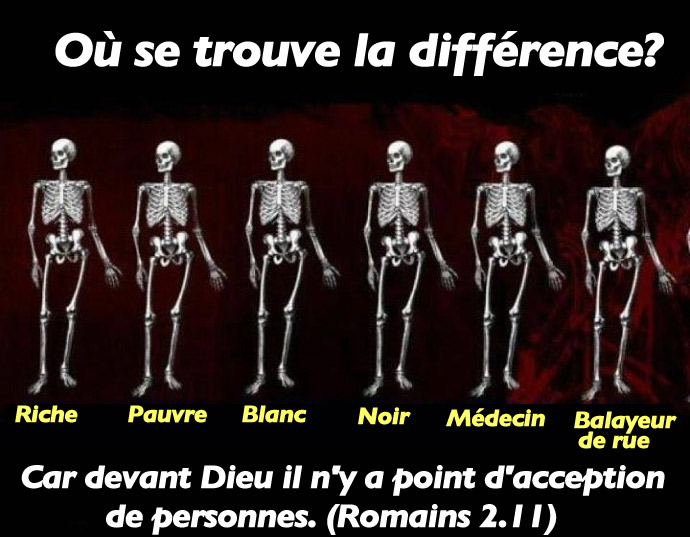 Où se trouve la différence? - Portal Universal