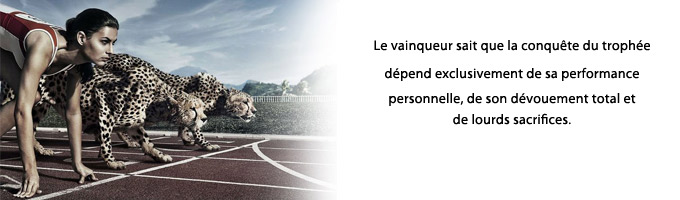 Gagnant vs Perdant - Portal Universal