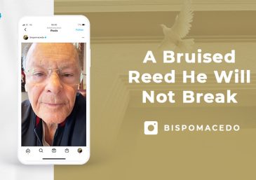 A Bruised Reed He Will Not Break - Universal Church of the Kingdom of ...