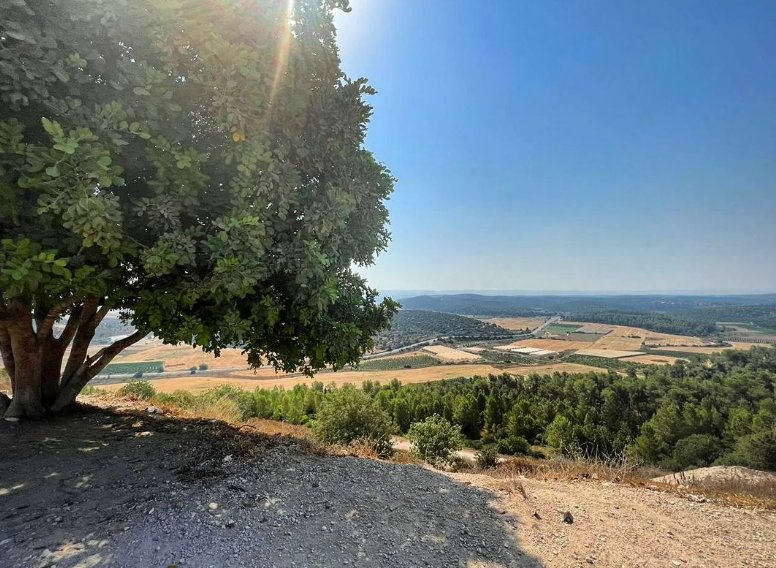 Fora de Série explora Tel Azeka, local que tem ligação direta com a ...